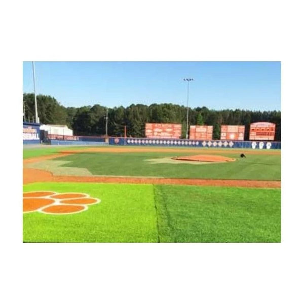 US Specialty Coatings PERMATURF Permanent Turf Paint (Dozen) – Pro ...